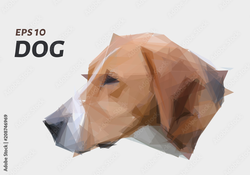 The dog's head is made of triangles. Low poly dog. Vector illustration ...