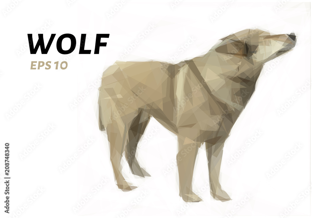 Wolf of triangles. Low poly wolf. Vector illustration. Stock Vector ...