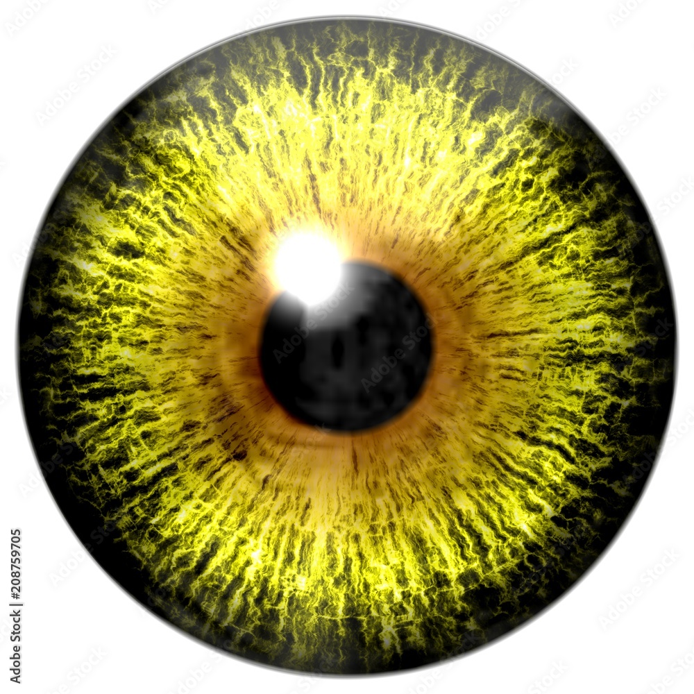 Yellow eye texture with white background, black fringe Stock ...