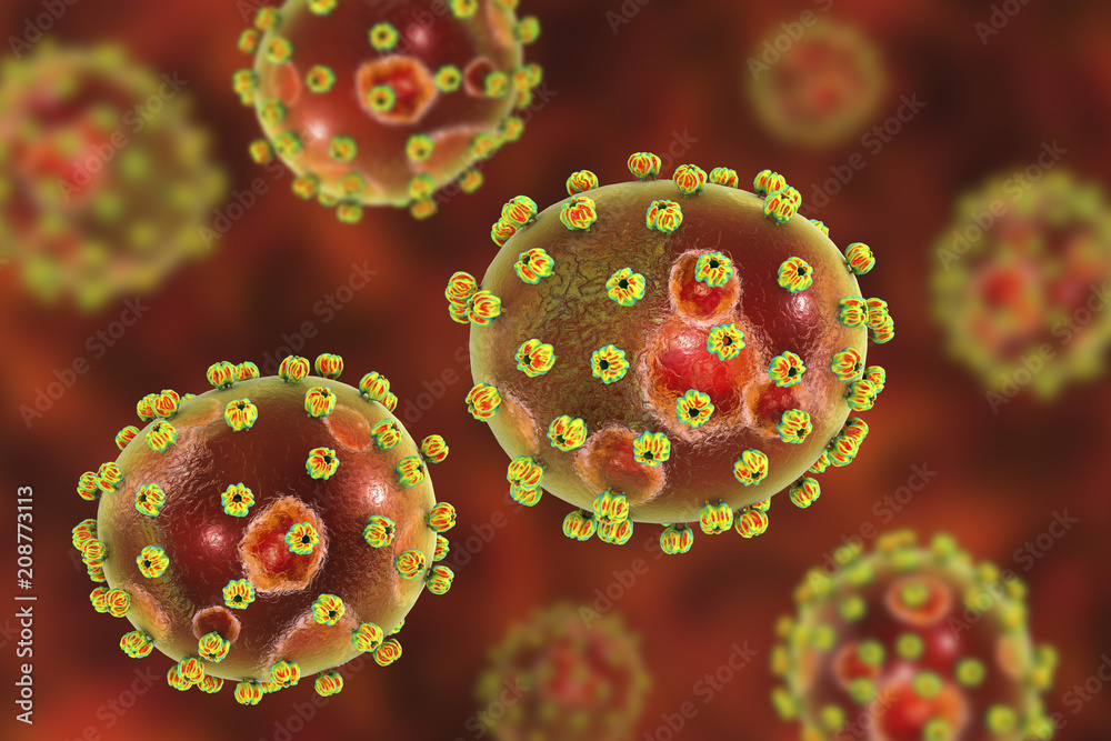 Lassa fever viruses, 3D illustration. RNA-viruses from Arenaviridae ...