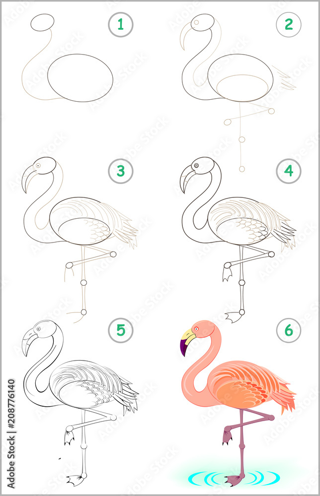 Flamingo Drawing For Kids