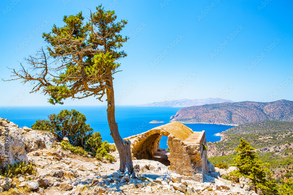 Historic ruin and pine tree, Mediterranea Sea, Rhodes Island, Greece ...