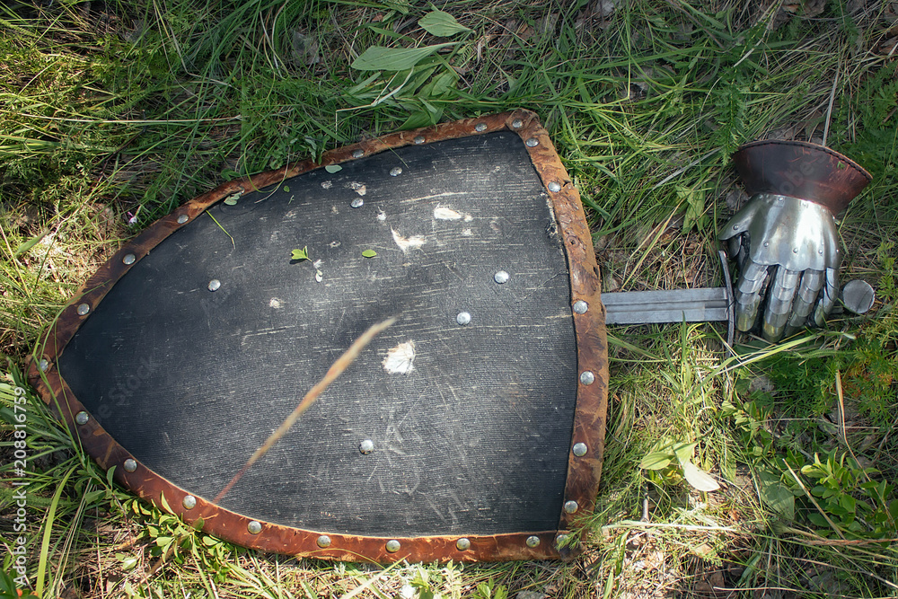 Sword lying on a triangular shield, on the ground in a tall green grass ...