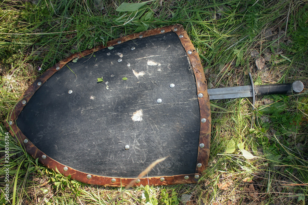 Sword lying on a triangular shield, on the ground in a tall green grass ...