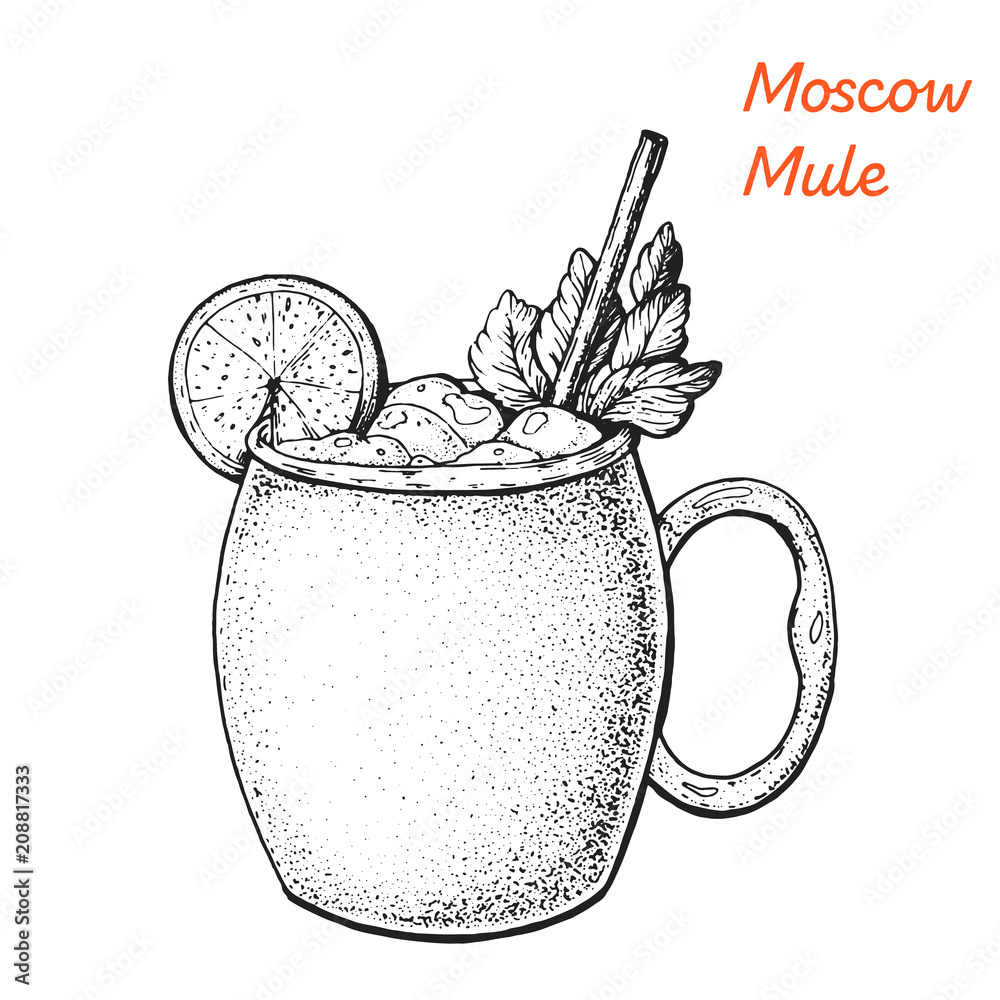 Moscow Mule cocktail illustration. Alcoholic cocktails hand drawn ...
