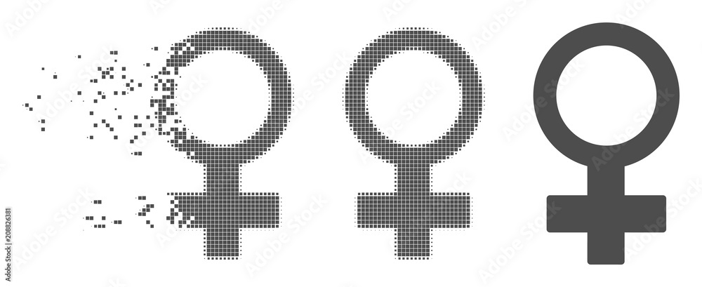 Grey vector female symbol icon in dissolved, pixelated halftone and ...