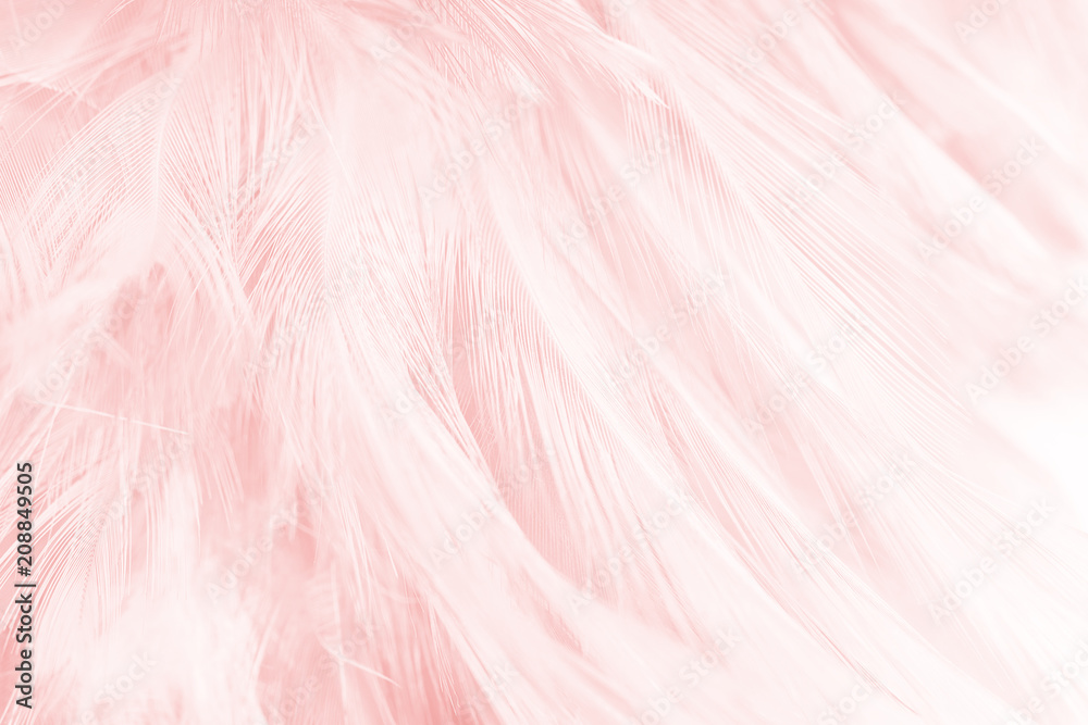 Soft Texture Background