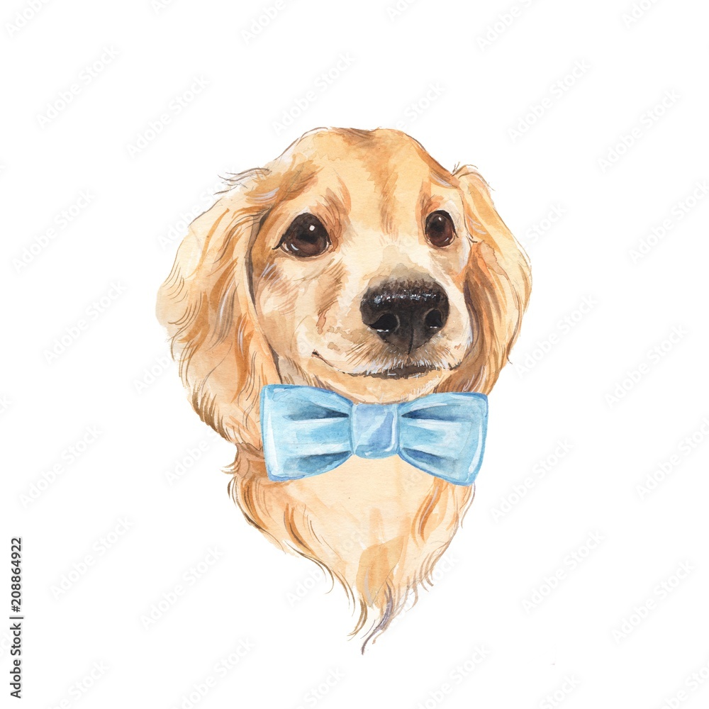 Cute dog sketch. Hand painted. Watercolor illustration. Stock ...