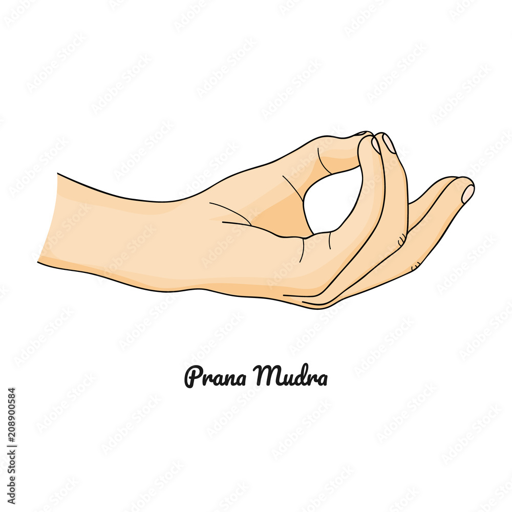 Pran Mudra / Gesture of Life. Vector. Stock Vector | Adobe Stock