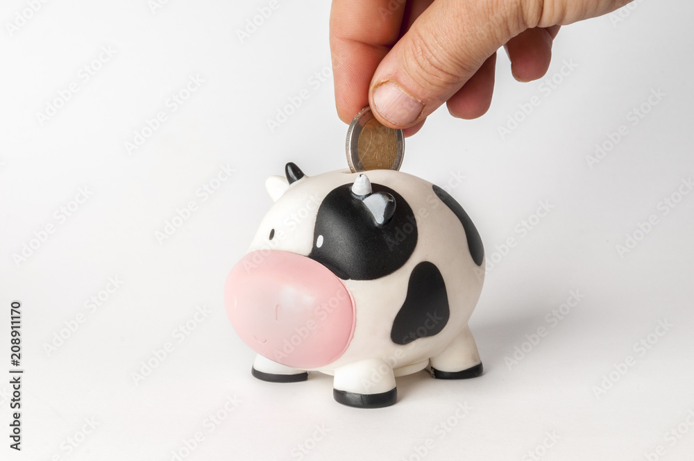 Hand put a 2 euro coin into a cow shaped money box Stock Photo | Adobe ...