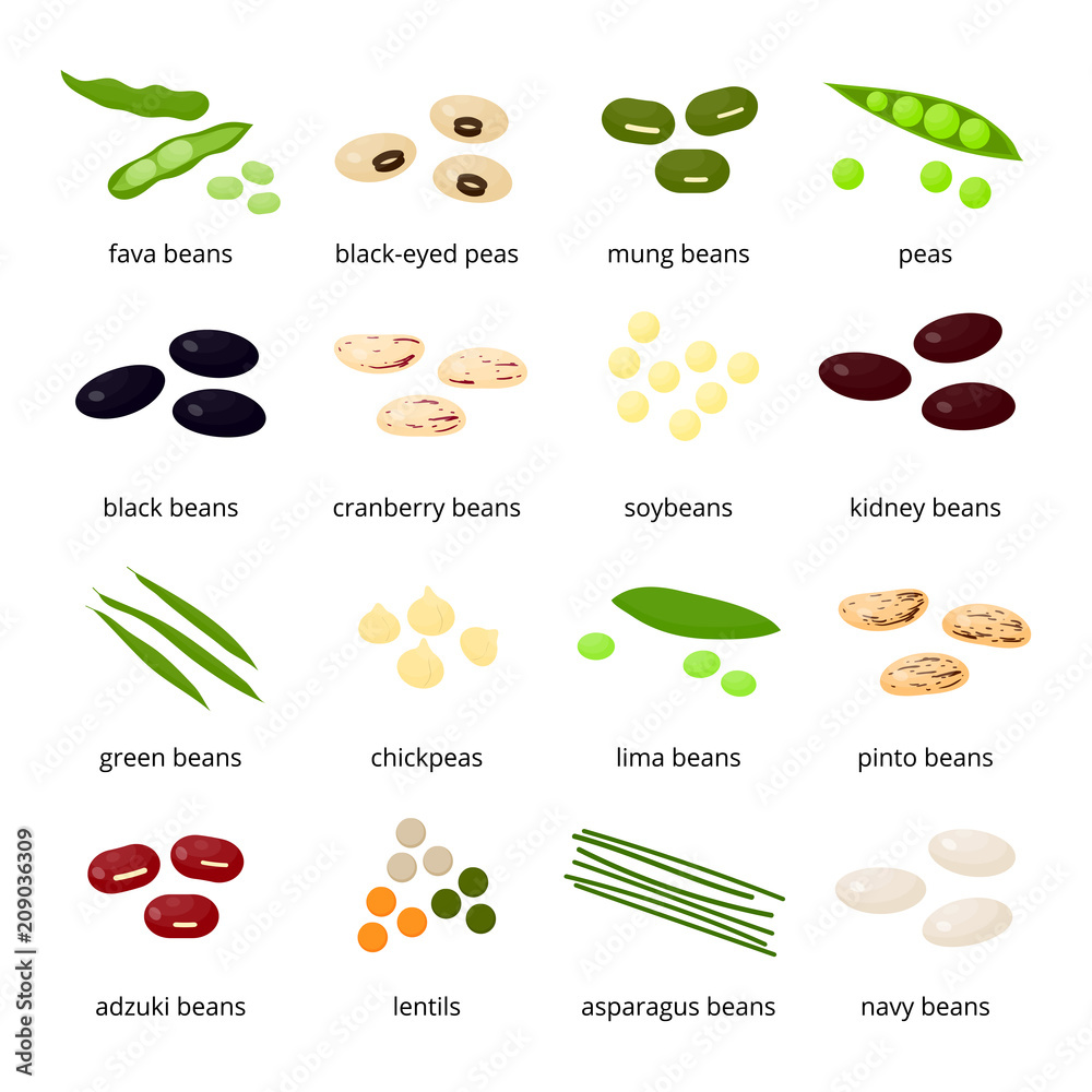 Cartoon beans and legumes set. Stock Vector | Adobe Stock