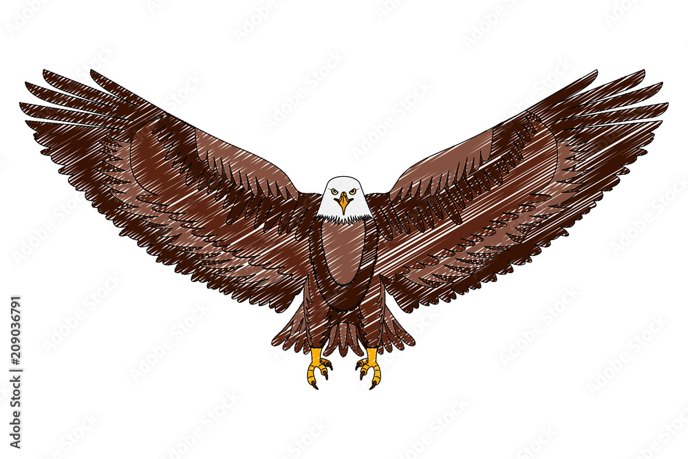 How To Draw An Eagle Wings