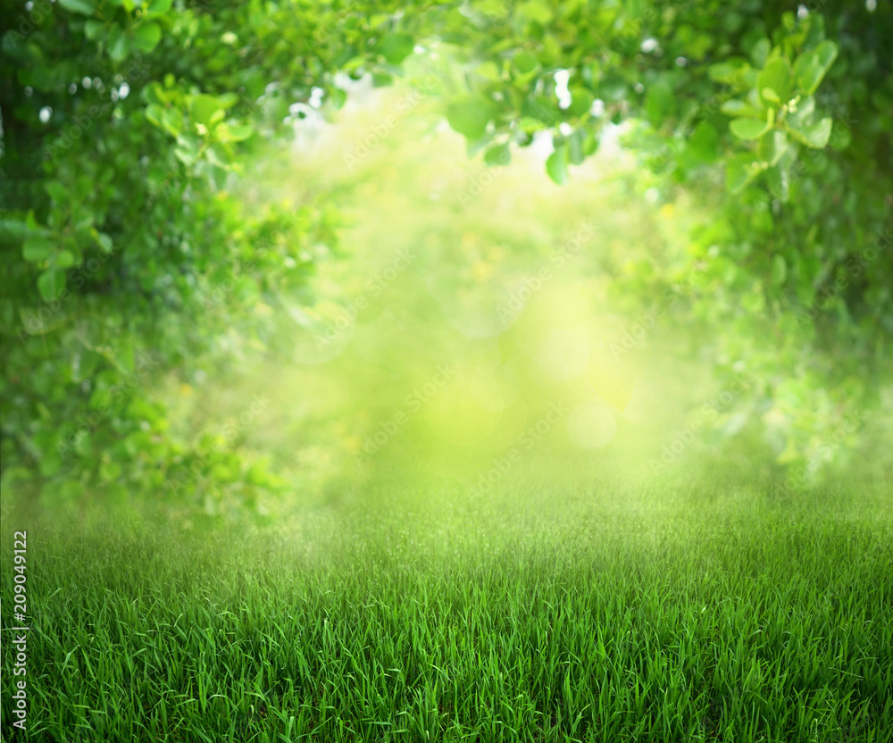 Natural green defocused spring summer blurred background with sunshine ...