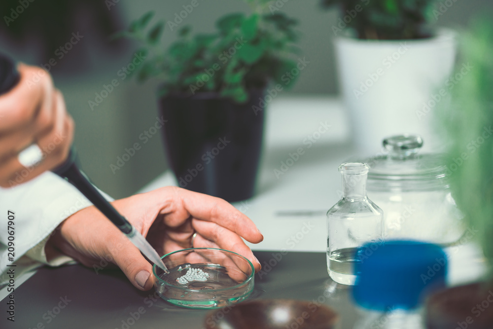 Homeopathy. Preparation of homeopathic remedies Stock Photo | Adobe Stock