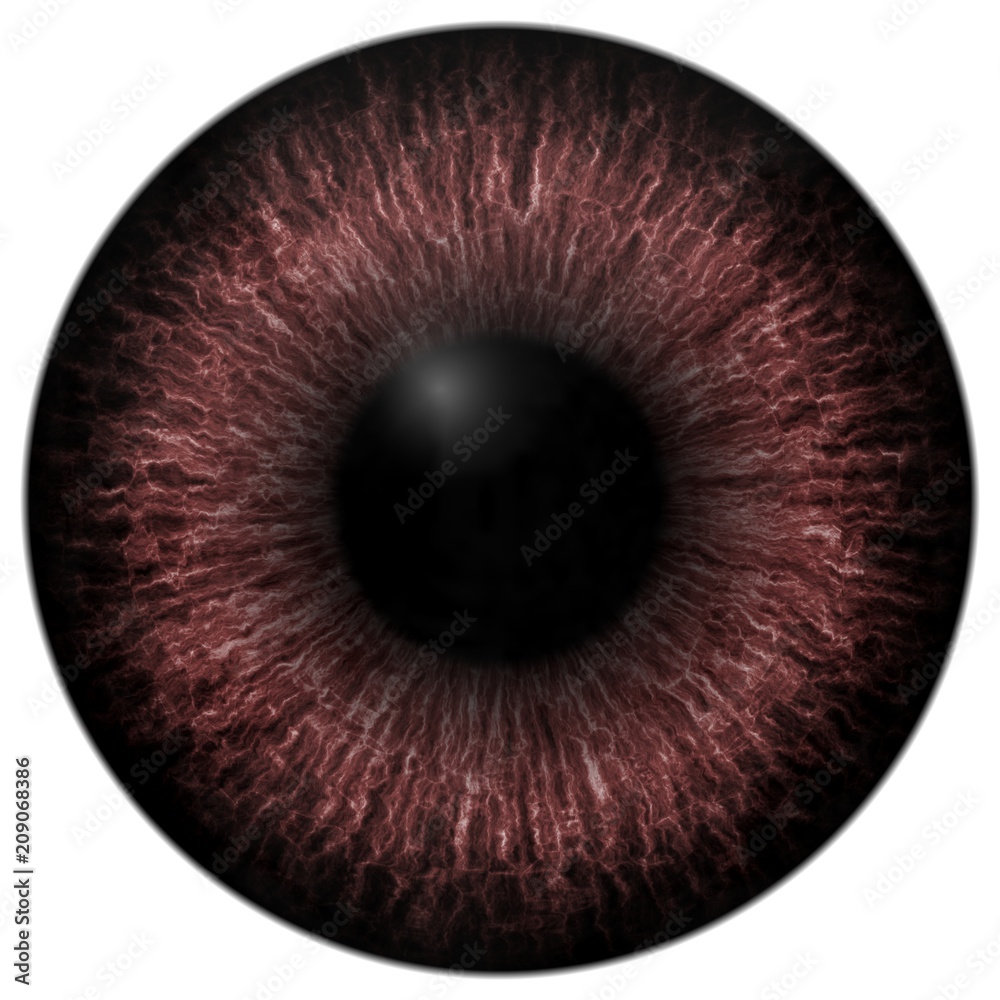 Red and brown eye 3d texture with black lines and fringe Stock ...