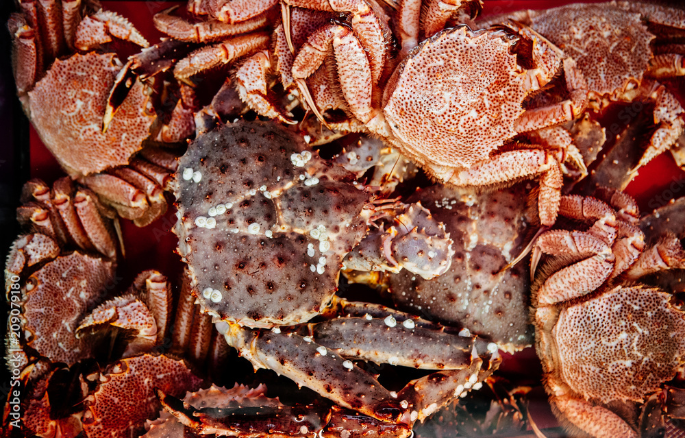 Live Japanese king crabs and zuwai crab at fish market in Hokkaido ...