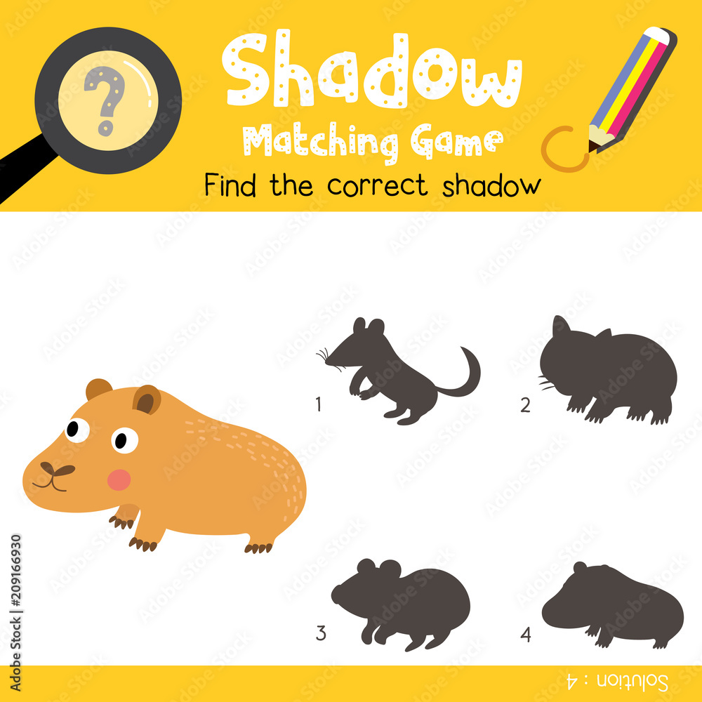 Shadow matching game of Capybara animals for preschool kids activity ...