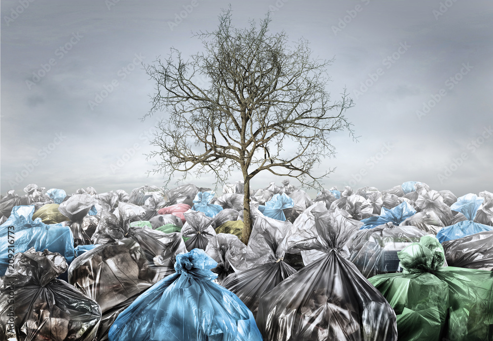 Pollution concept. Dead tree in area full of trash on a gloomy ...