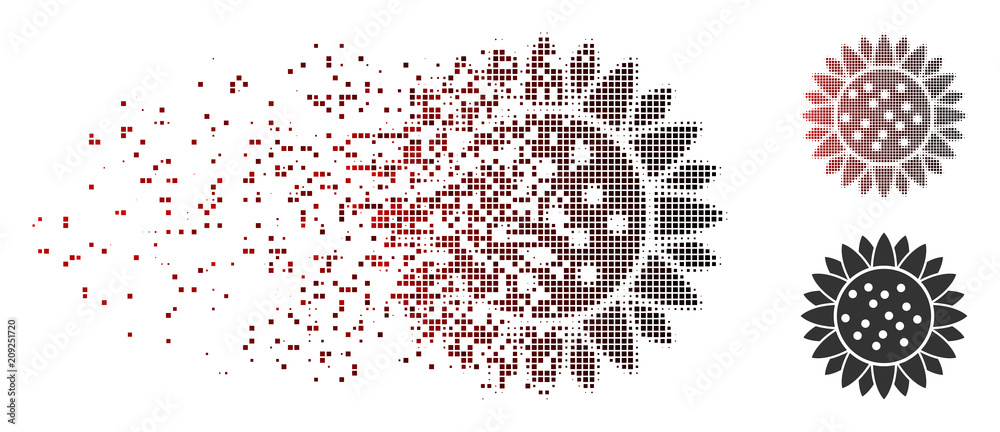 Vector sunflower flower icon in dissolved, pixelated halftone and ...