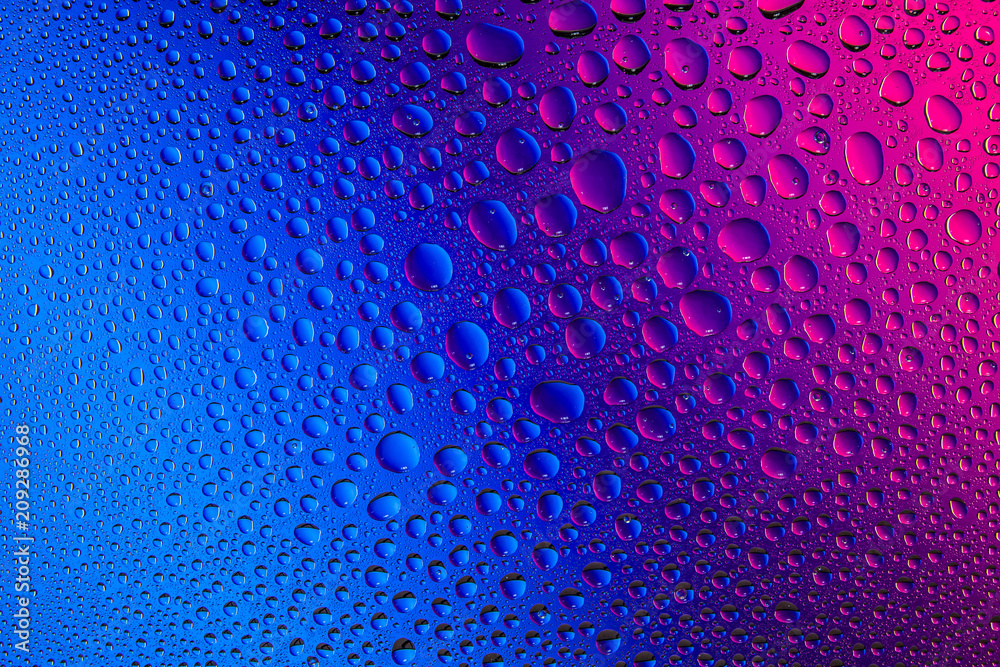 Close up of a water drops on a pink and blue gradient background ...