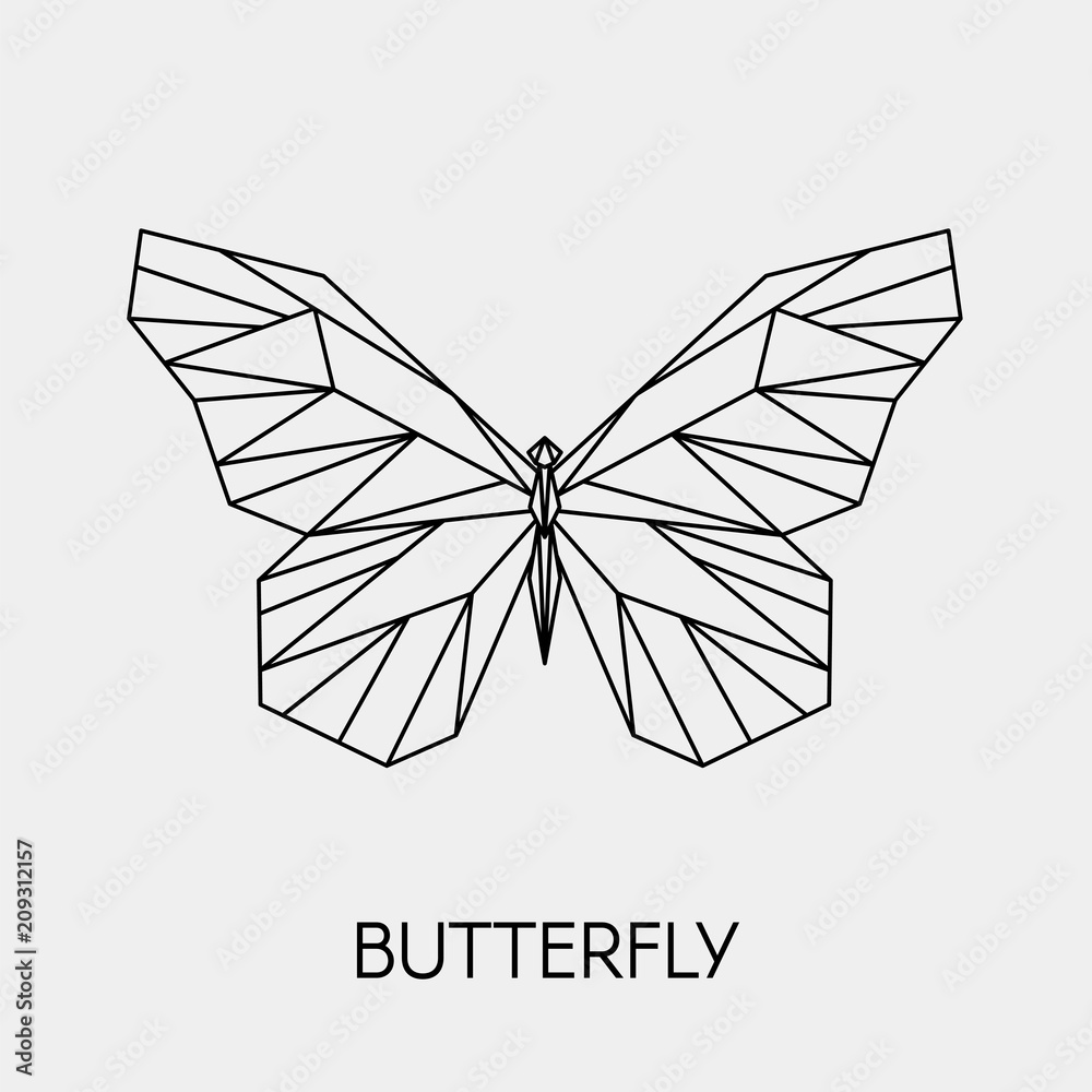 Abstract polygonal butterfly. Geometric linear animal. Vector ...