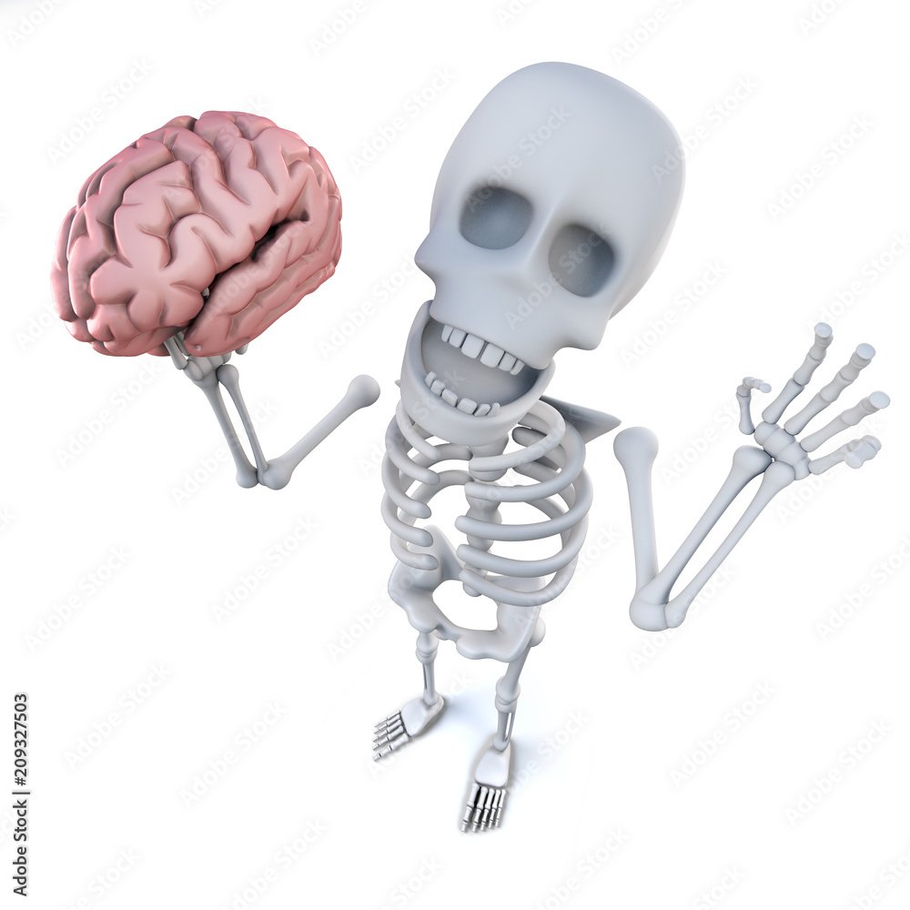 Vector 3d Funny cartoon skeleton character holding a human brain Stock ...