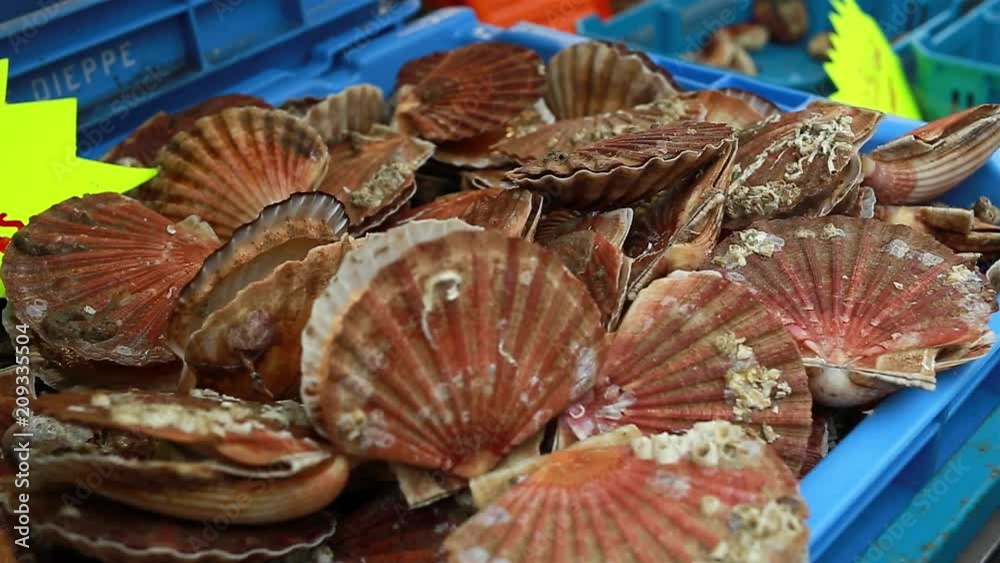 Fresh scallops at the fish market in Normandy, France. Traditional ...