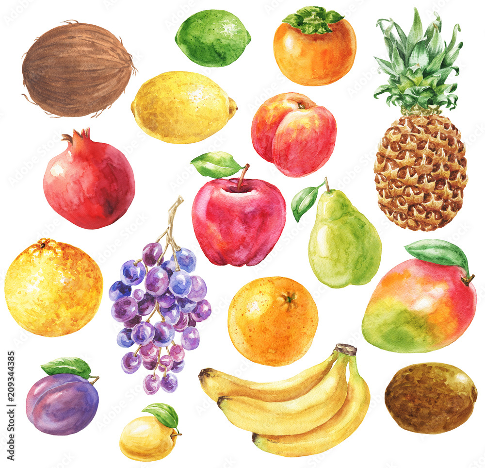 Hand drawn watercolor fruits set, isolated on white background. Food ...