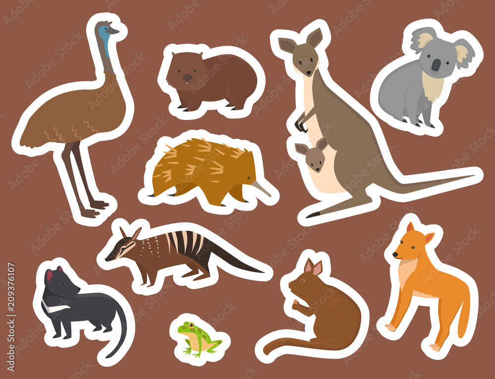 Australia wild animals cartoon popular nature characters flat style ...