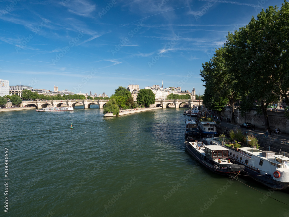 Ile de la Cite (Cite Island) and Pont Neuf (New Bridge). Pont Neuf is ...