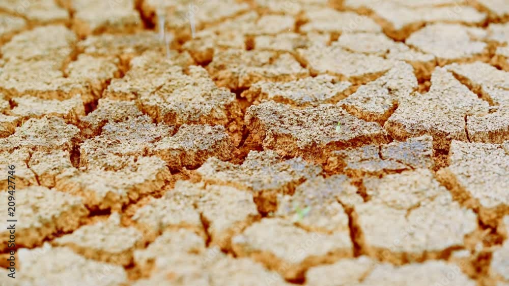 Raining on cracked ground of earth. Cracked surface soil from arid and ...