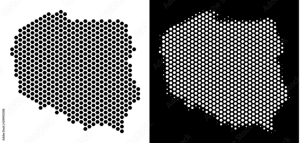 Hexagonal Poland map. Vector territorial scheme in black and white ...