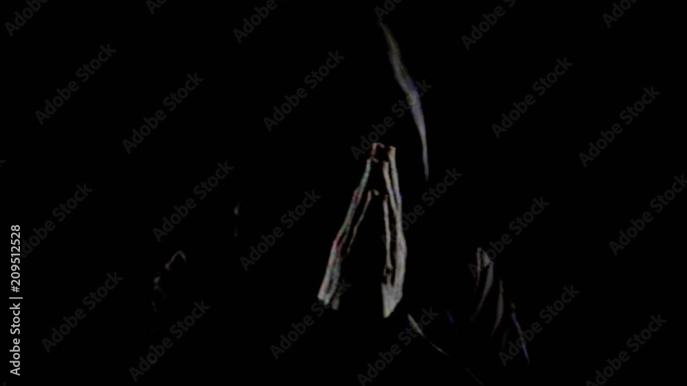 Analog capture (intentional heavy distortion fx): a faceless friar (a ...