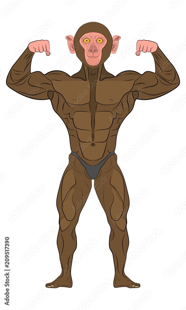Strong Monkey Cartoon