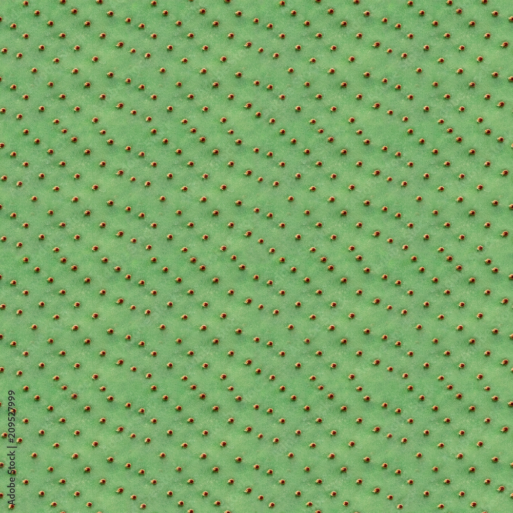 Seamless pattern of a cactus. The texture of the cactus with spots ...