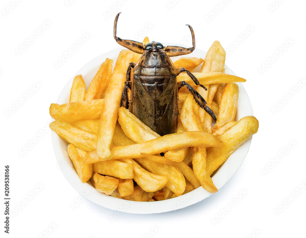 Fried Cockroach Recipe