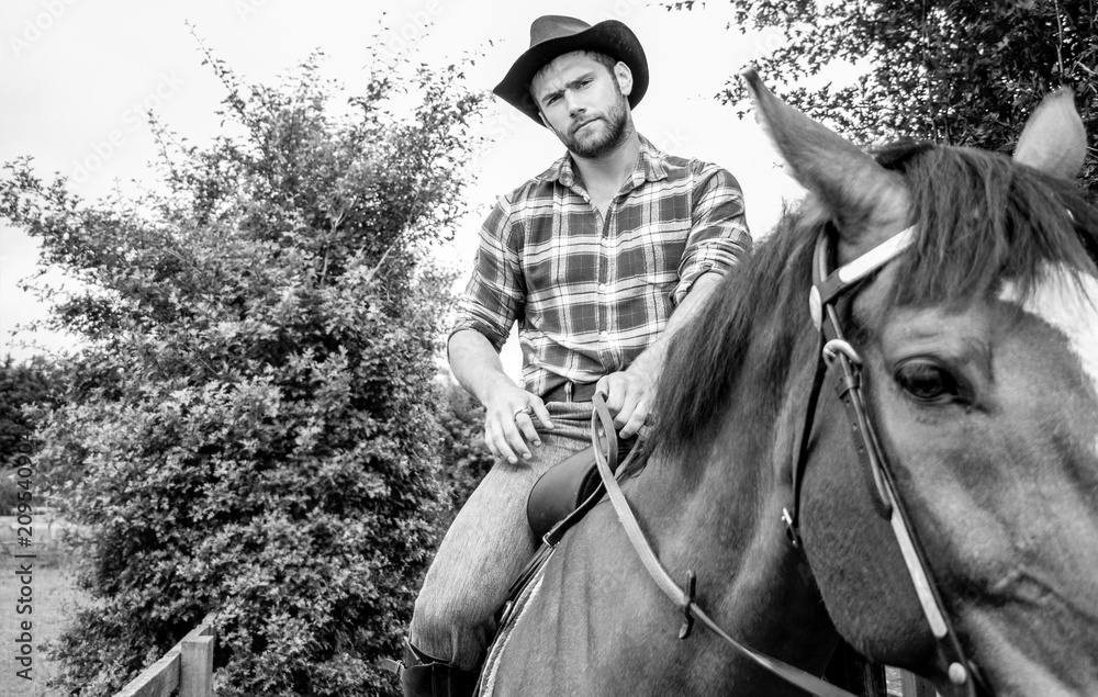 Handsome cowboy, horse rider on saddle, horseback and boots Stock Photo ...