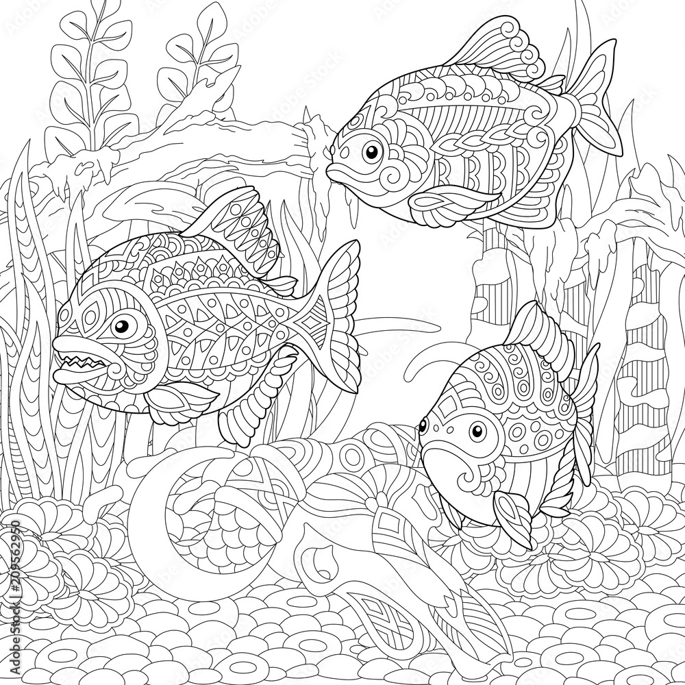 Piranhas. Predatory fishes. Coloring Page. Colouring picture. Adult ...