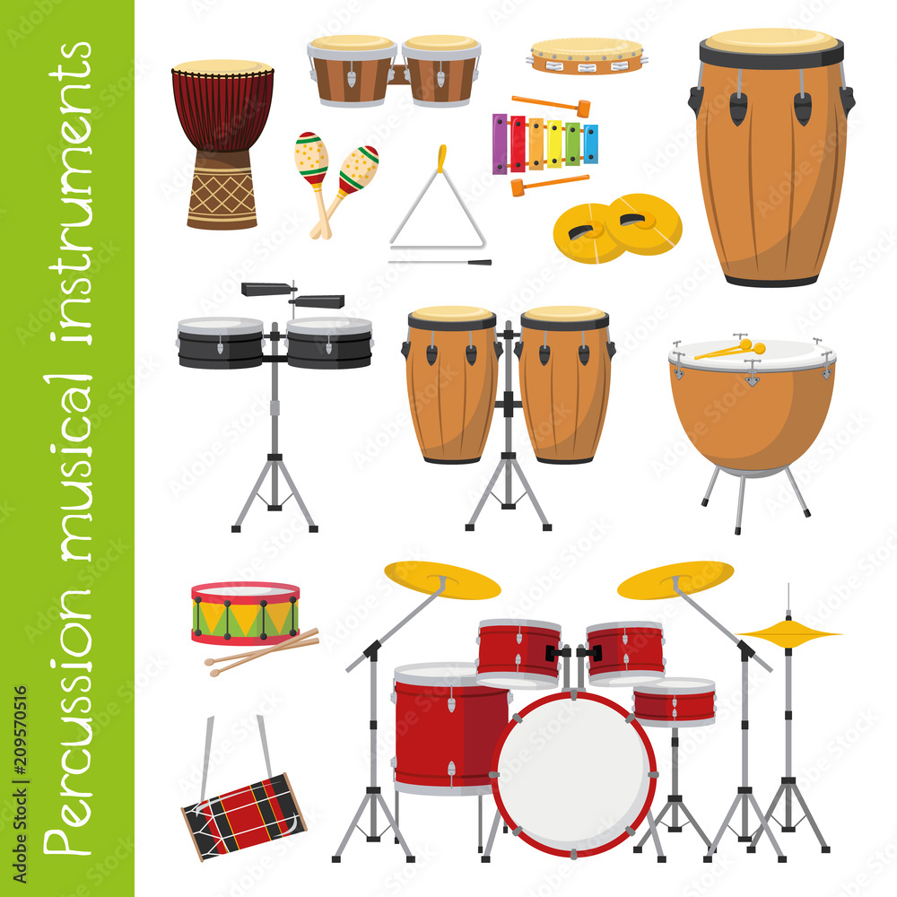 Vector illustration set of percussion musical instruments in cartoon ...