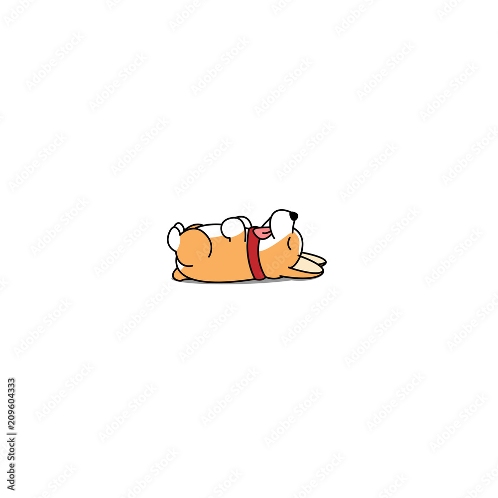 Corgi Sleeping On Back