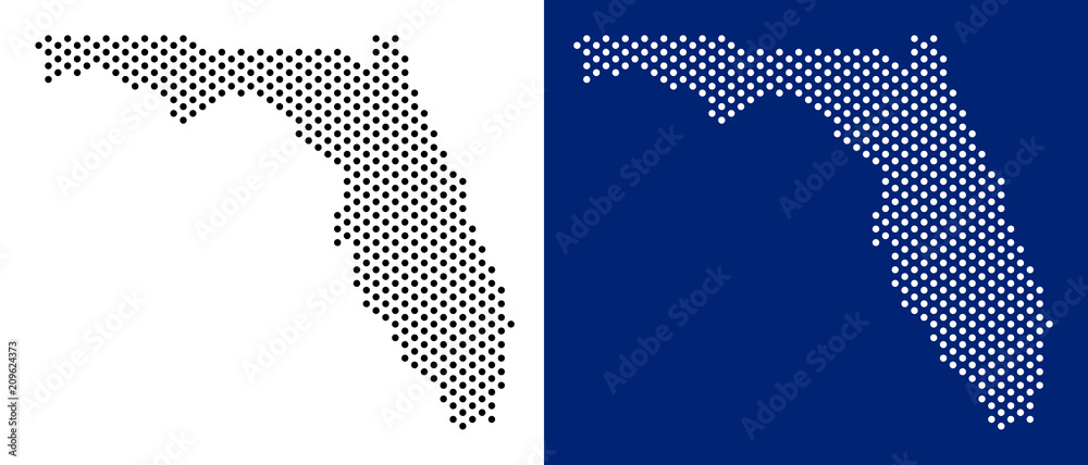 Dot Florida map. Vector geographic map on white and blue backgrounds ...