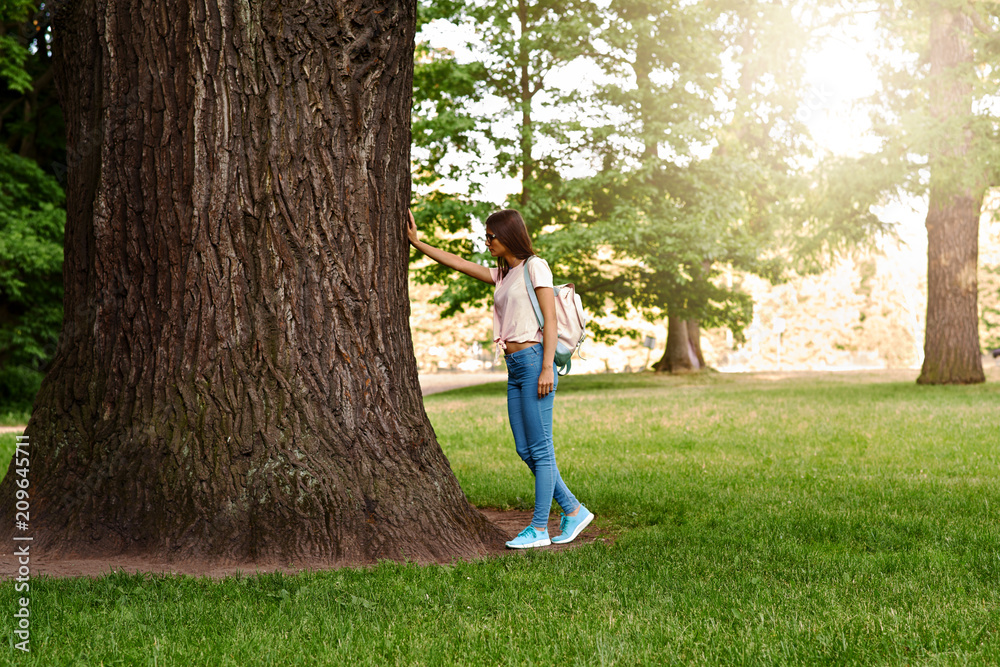 Female tourist hugging huge tree trunk. Girl touches a big tree in a ...