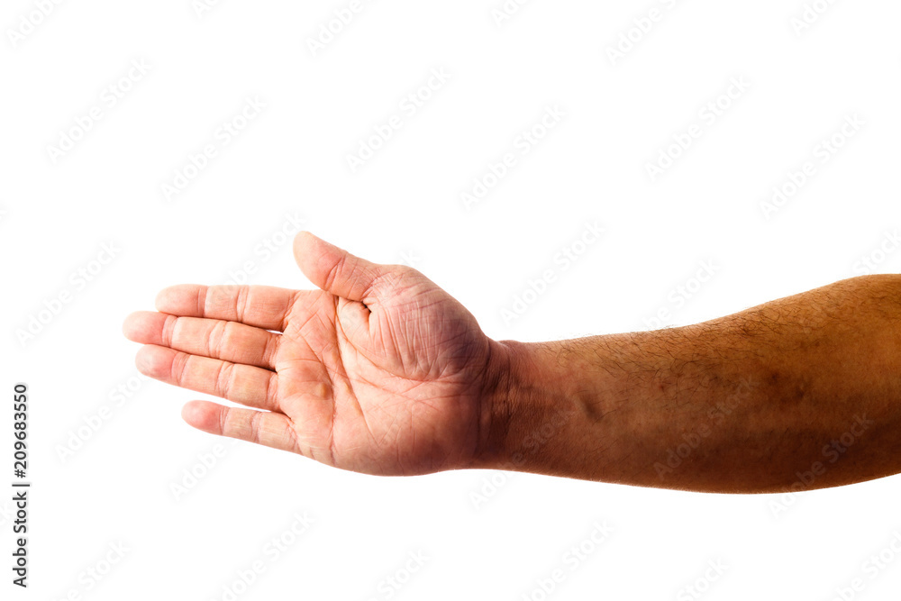 Adult male hand showing flat hand gesture isolated on white Stock Photo ...