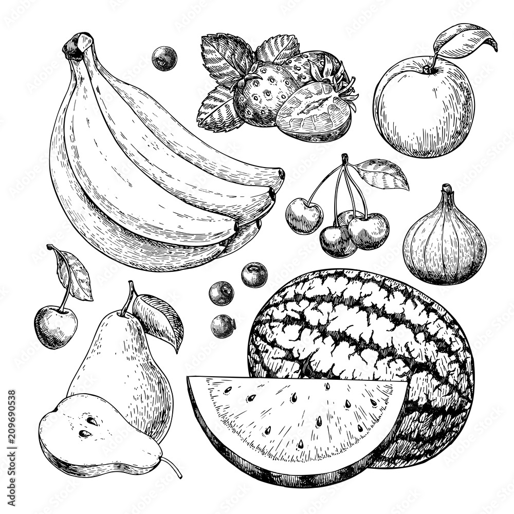 Fruit and berry vector drawing set. Hand drawn summer food Stock Vector ...