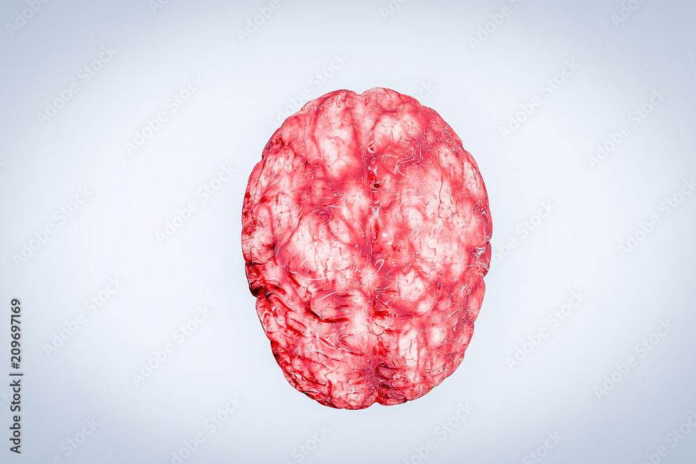 human brain with blood vessels and blood brain organ concept 3D ...