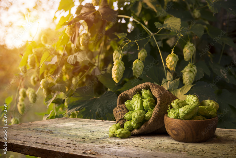 Photo & Art Print Still life with a keg of beer and hops., kishivan