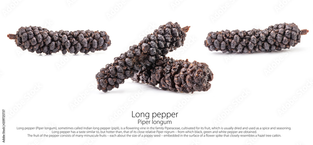 Long pepper (Piper longum) isolated on white background Stock Photo ...