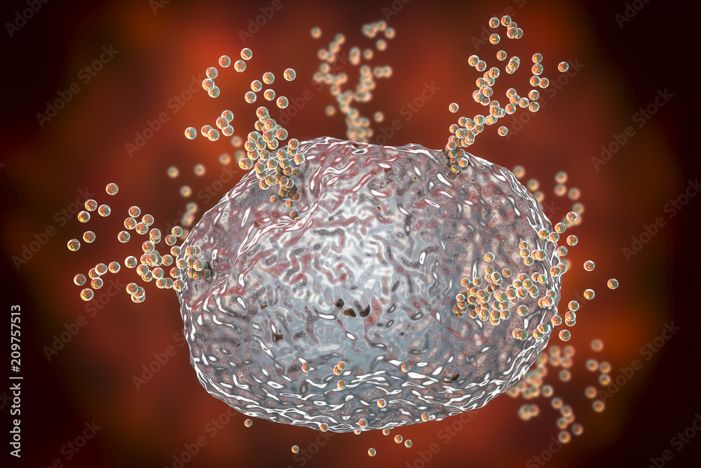 Mast cell releasing histamine during allergic response, 3D illustration Stock Illustration ...