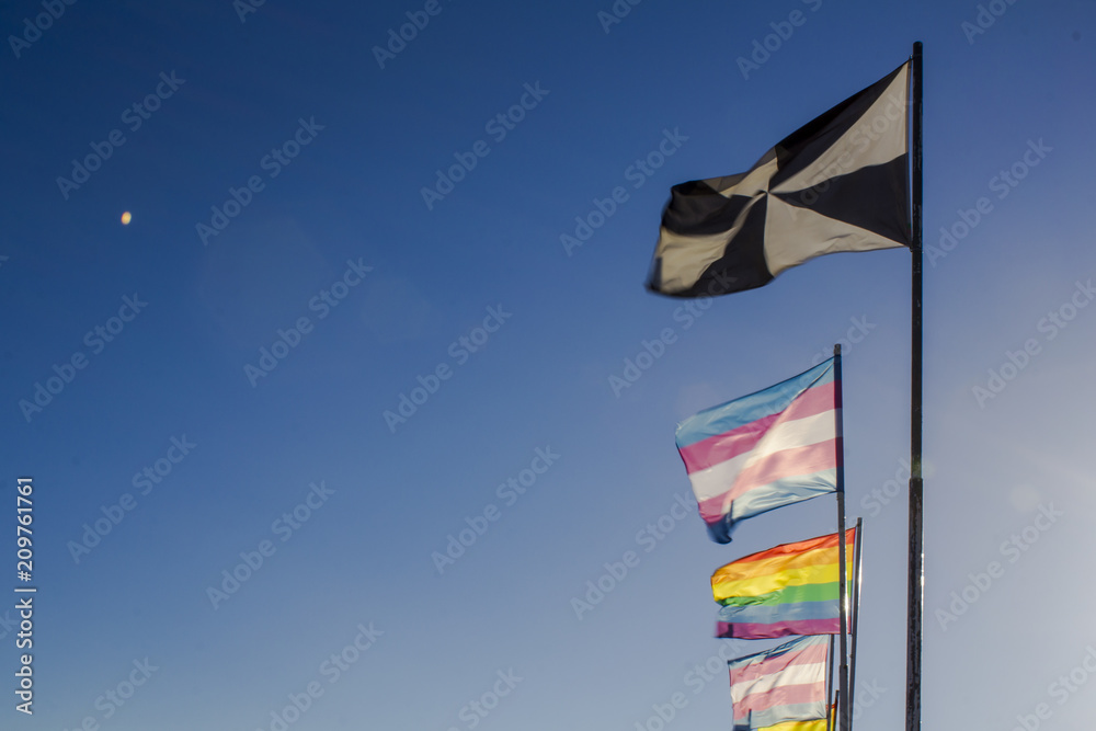 LGBT rainbow pride flags Stock Photo | Adobe Stock