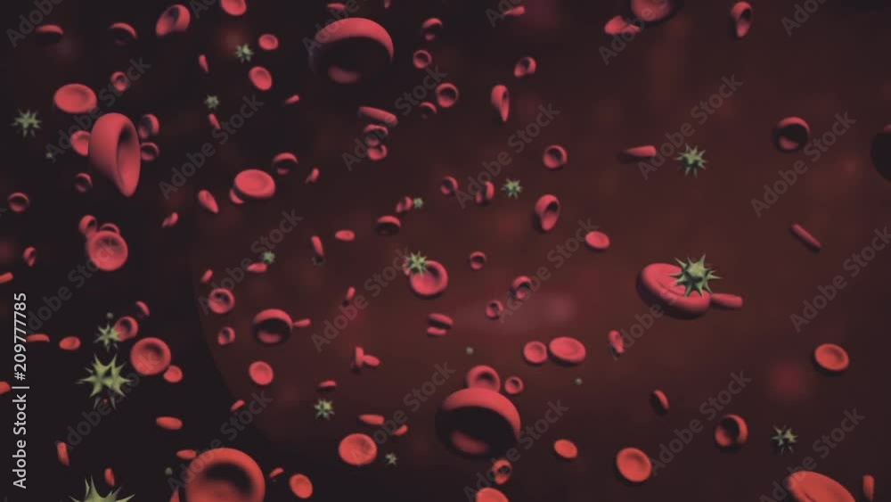 Virus Attacks Red Blood Cells inside human blood vessel. Animation of ...
